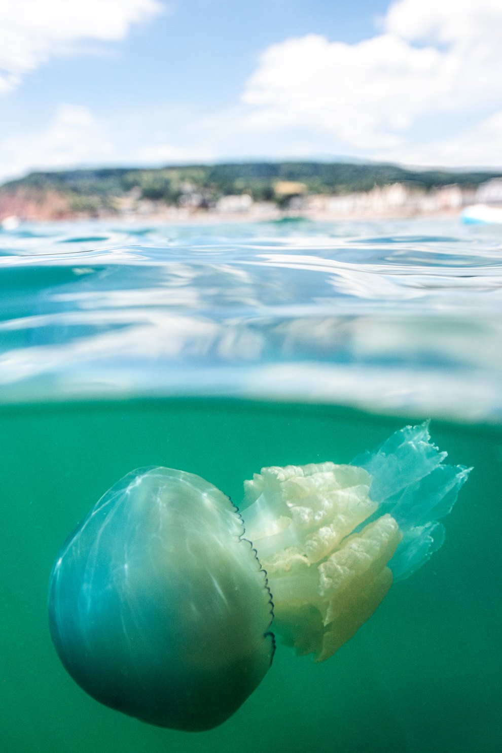 Underwater photographer makes a splash with Samaritans | The Exeter Daily