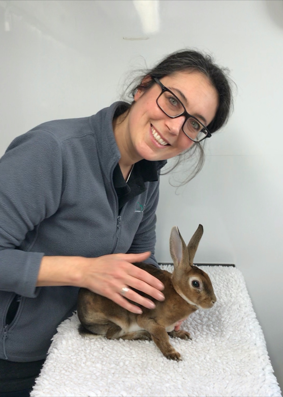 Small mammals and exotics pets receiving specialist care at Exeter vet ...