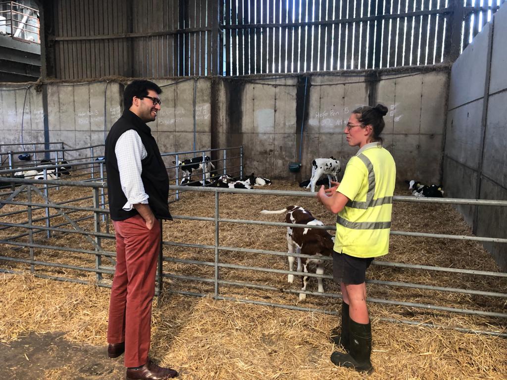 Dairy Farmers across SW set for major boost from new trade deals | The ...