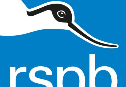 Easter Holiday Craft Activities at RSPB Bowling Green | The Exeter Daily