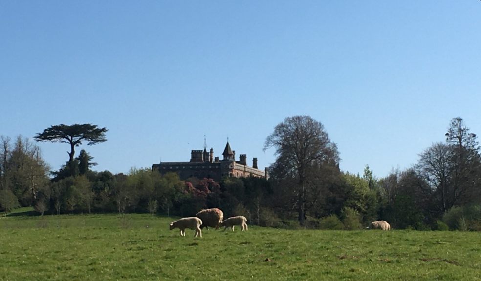 Exeter Ramblers reveal hidden walking trails of Exeter | The Exeter Daily